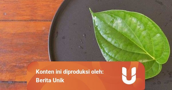 Struktur Daun: Epidermis, Bagian, dan Fungsinya | kumparan.com