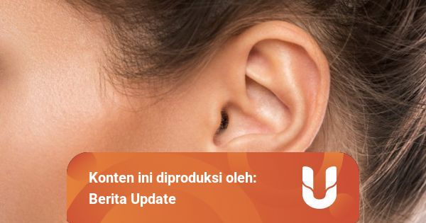 Bagian Telinga dan Fungsinya yang Perlu Diketahui | kumparan.com