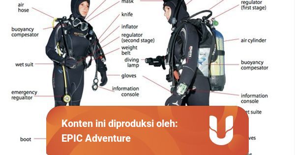 Alat-alat yang Digunakan Para SCUBA Diver (Part 2) | kumparan.com