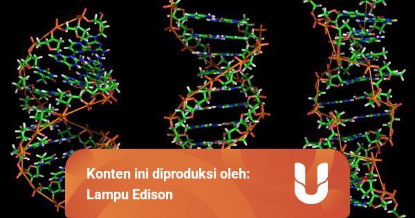 Panjang DNA Manusia dapat Terbentang dari Matahari Hingga Pluto ...