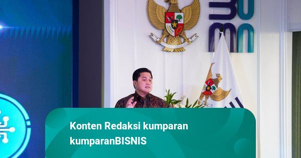 Erick Thohir Ganti Direktur Keuangan & Manajemen Risiko Danareksa ...