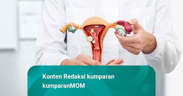 9 Kondisi Medis yang Sebabkan Rahim Harus Diangkat | kumparan.com