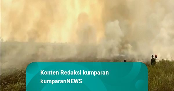 Riau, Negeri yang Bertarung Melawan Api | kumparan.com