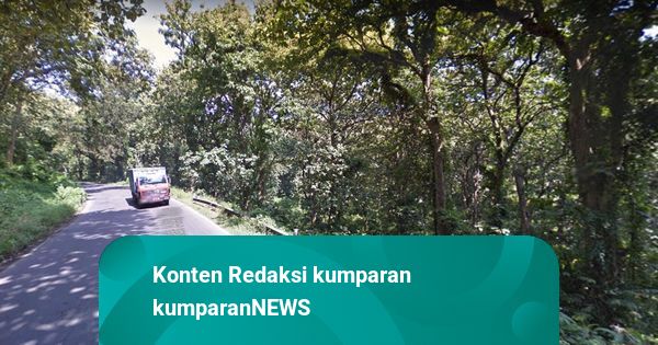 Mengenal Jalur Mudik Alas Roban yang Penuh Cerita | kumparan.com