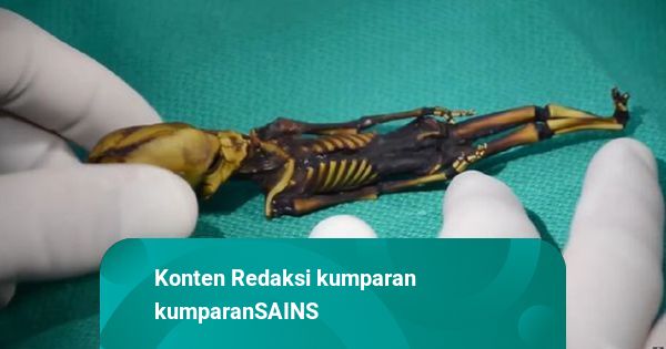 Misteri Mumi ‘Alien’ Atacama yang Ditemukan di Chile | kumparan.com