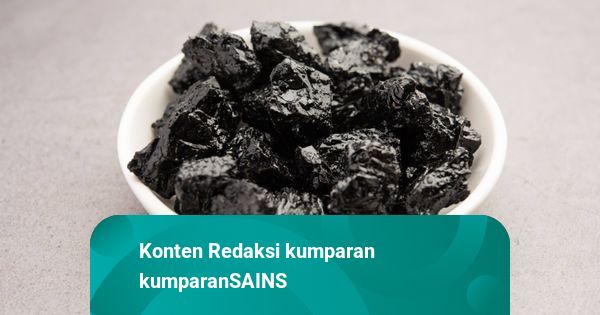 Mengenal Shilajit, Obat Tradisional yang Dipercaya Sebagai 'Ramuan ...