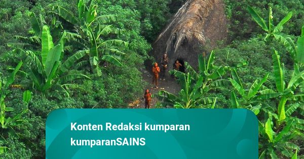 Cerita TN Pandit, Antropolog yang Pernah Mengunjungi Suku Sentinel ...