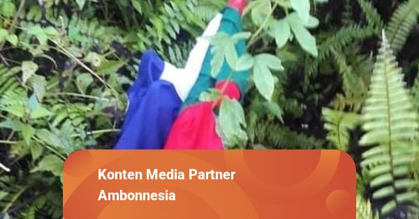 Perayaan HUT Pattimura Diwarnai Pengibaran Bendera RMS | kumparan.com