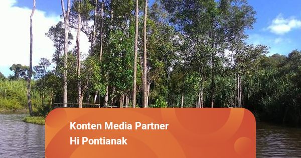 Melihat ‘Pulau Begansar’ di Kalbar, Pulau yang Bisa Bergerak Sendiri ...