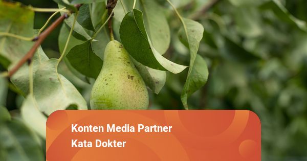 5 Manfaat Buah Pir untuk Kesehatan Tubuh, Apa Saja? | kumparan.com