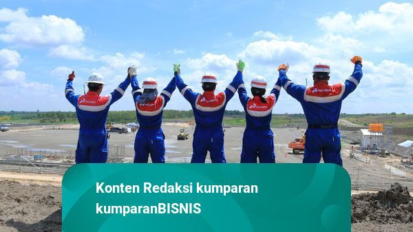 Profil 9 Milenial yang Diangkat Jadi Direktur Anak Usaha Pertamina ...