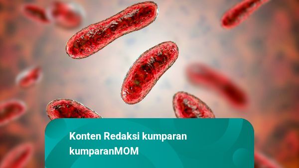 Mengenal Penyakit Riketsia pada Anak dan Pencegahannya | kumparan.com