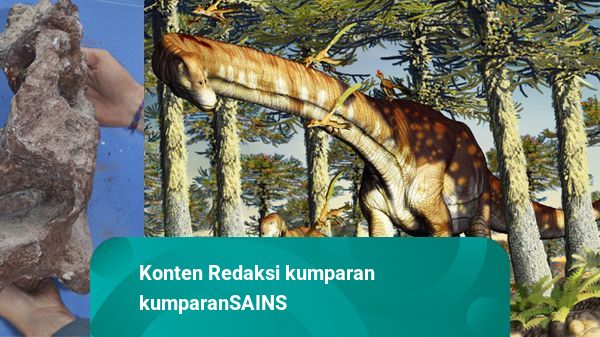 Fosil Dinosaurus ‘Ninja Raksasa’ Tertua Ditemukan, Usia 140 Juta Tahun ...