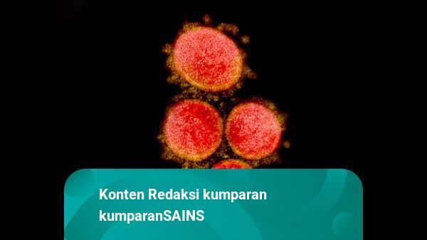 Sifat Virus Corona: Berkembang Biak, Replika Diri, dan Bermutasi ...