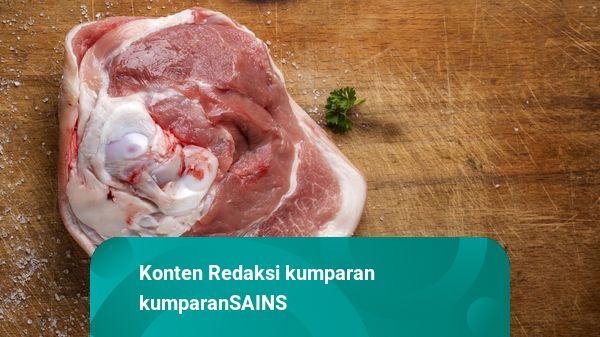Seperti Apa Rasa Daging Manusia? Ini Kata Para Kanibal | kumparan.com