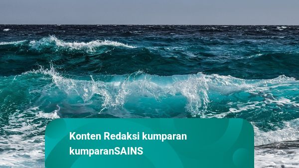 Samudra di Dunia Kini Ada 5 Menurut National Geographic, Apa Saja ...