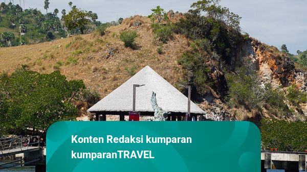 Pulau Rinca Kembali Dibuka: Simak Aturan, Harga Tiket, dan Cara ke Sana ...