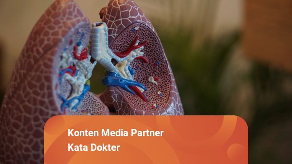 10 Macam-Macam Penyakit Paru-Paru dan Berbagai Gejalanya | kumparan.com