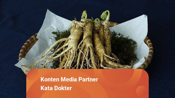 5 Obat Tradisional Badan Lemas yang Ampuh Redakan Gejala | kumparan.com