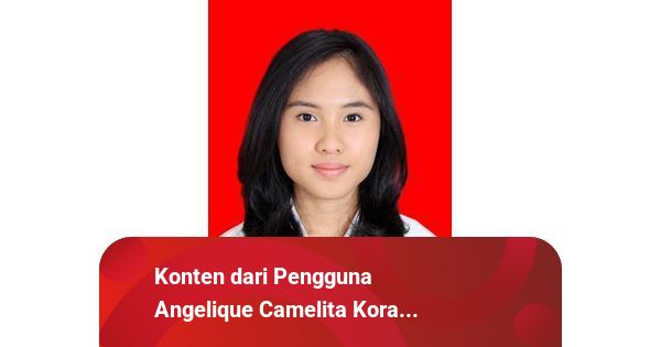 Protokol Montreal 2016: Bentuk Pencegahan Terhadap Perubahan Iklim ...