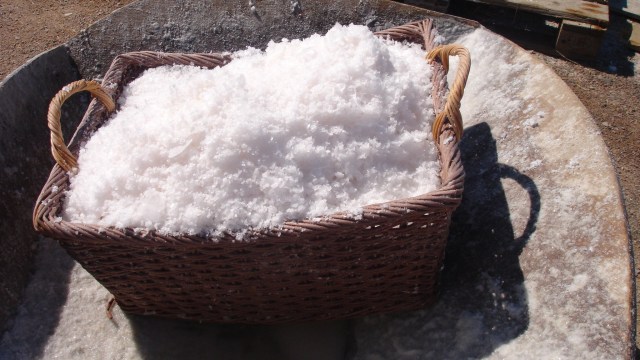 Australia Sukses Jadi Raja Garam karena Teknologi, RI Masih Manual ...