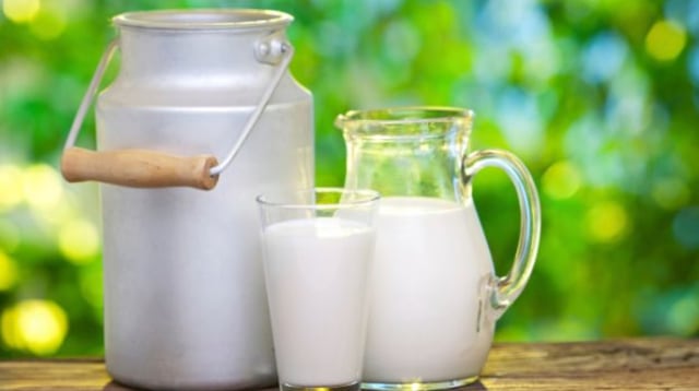 5 Fakta Tentang Susu: Susu, apa itu? | kumparan.com