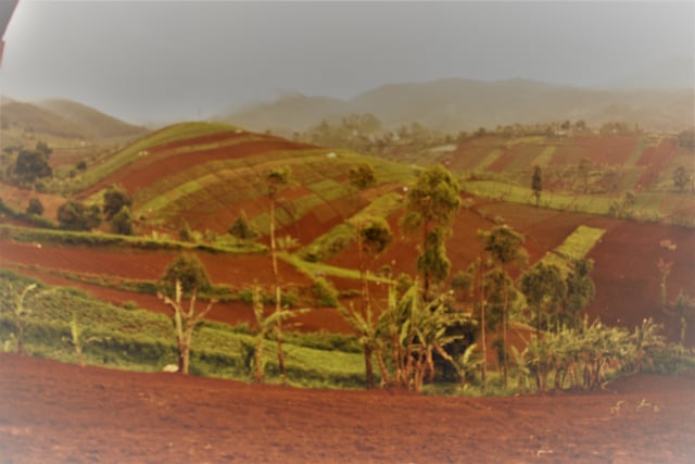 Donasi Bibit untuk Petani Cimenyan Bandung | kumparan.com