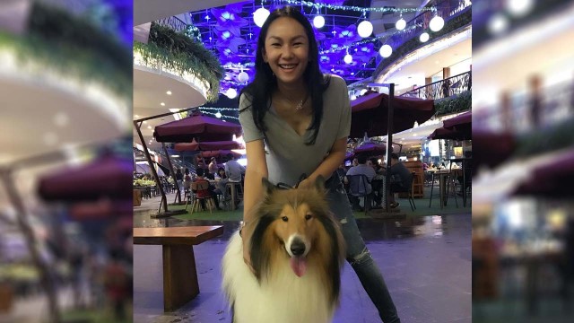 Doni Animal Defenders: dari Pahlawan ke “Penjahat” | kumparan.com