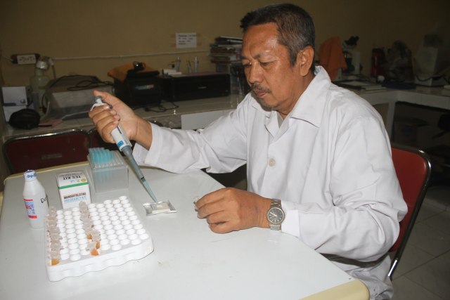 Elisa Kit, Cara Deteksi Sapi Bunting Jadi Lebih Akurat | kumparan.com