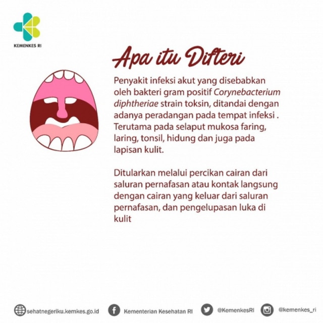 Sepanjang Tahun 2017, Bojonegoro Aman Dari Virus Difteri | kumparan.com