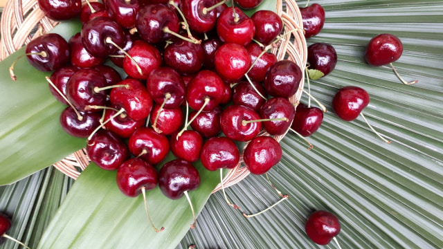 buah ceri