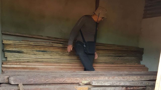 Polda Kalbar Gerebek 3 Gudang Kayu Ilegal, 1.700 Batang Diamankan | kumparan.com
