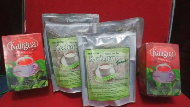 Mengenal Teh Putih Produksi Kaligua yang Berkhasiat Sembuhkan Penyakit ...