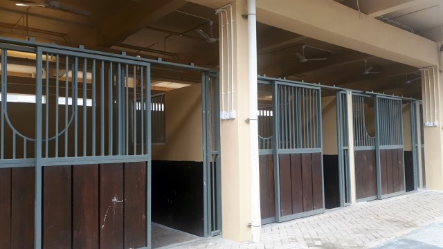 Jakarta Equestrian Park: Rampung Mei, Sediakan 156 Kandang Kuda ...