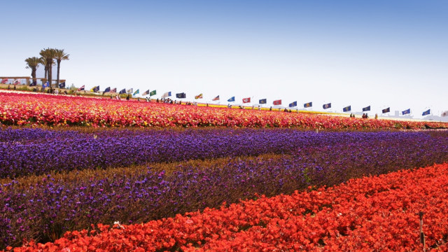 7 Kebun Bunga Terindah di Dunia | kumparan.com