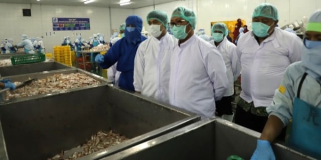 Surimi Tuban Kuasai 80% Pasar Ekspor Asia | kumparan.com