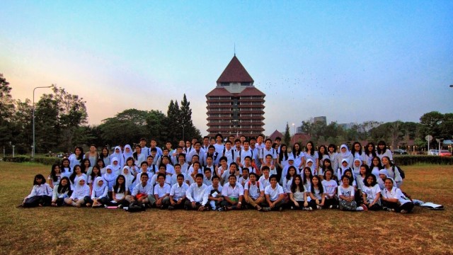 Info Biaya UKT untuk Calon Mahasiswa UI yang Lolos SBMPTN 2018 ...