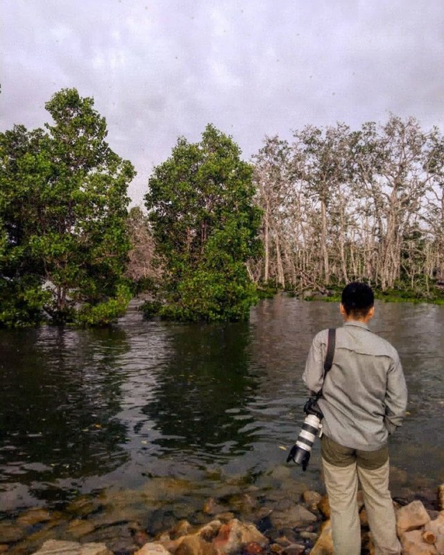 Crocodylus Raninus, Monster dari Sangatta | kumparan.com