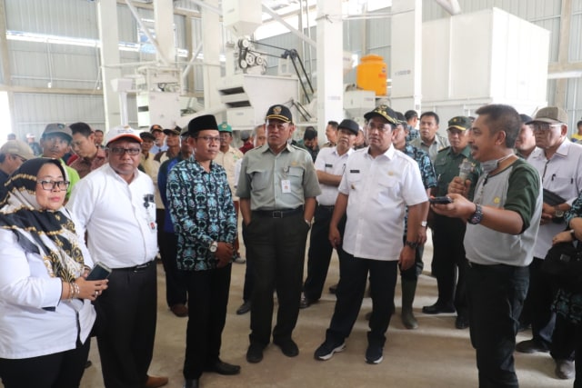 Bioindustri Padi Terpadu Optimalkan Lahan Rawa Pasang Surut | kumparan.com