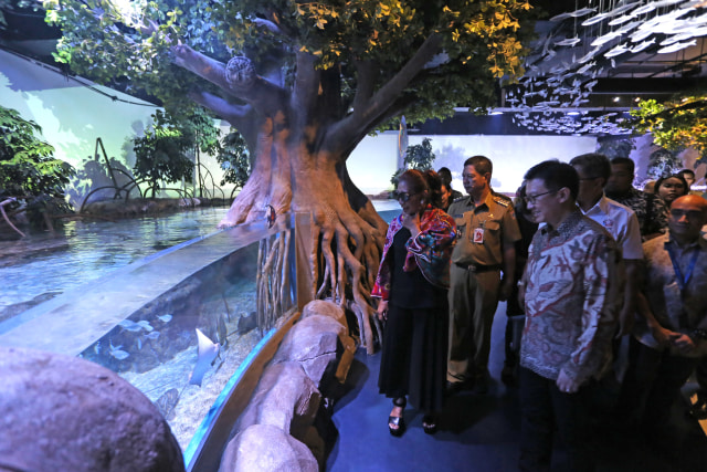 Ini Harapan Susi Pudjiastuti untuk Jakarta Aquarium | kumparan.com