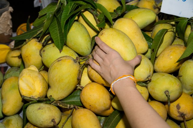Tips Memilih Buah Mangga yang Ranum dan Manis | kumparan.com
