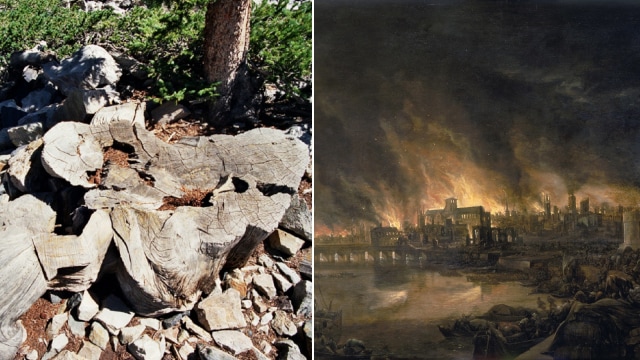 5 Kecerobohan Manusia yang Paling Bersejarah | kumparan.com