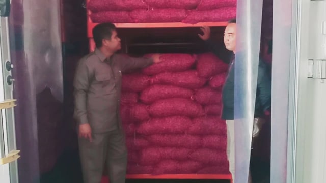Stabilkan Harga, Pengusaha Bawah Merah Brebes Serap Hasil Panen Petani ...