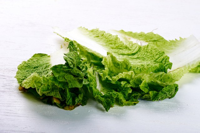 6 Cara Menyimpan Selada agar Awet dan Tetap Segar di Kulkas | kumparan.com