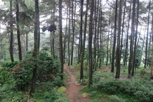 Pungli di Gunung Pancar Bikin Sepi, Sandiaga Usul Dikembangkan Jadi ...