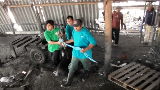 BKSDA Jateng Evakuasi Dua Kasuari dari Penangkaran Tak Berizin ...
