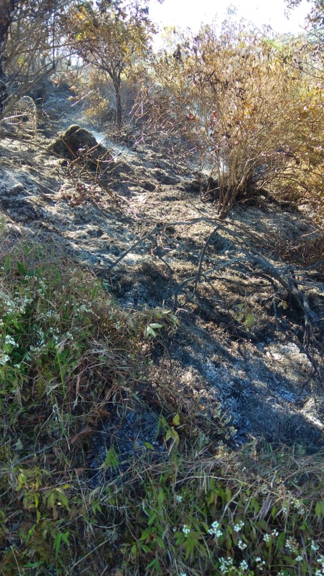 Kebakaran di Hutan Gunung Sumbing Meluas karena Faktor Angin | kumparan.com