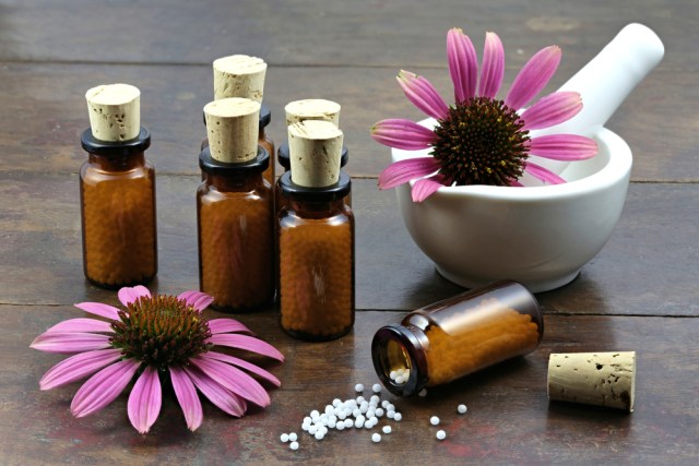 4 Manfaat Ekstrak Echinacea, Bunga yang Berkhasiat | kumparan.com