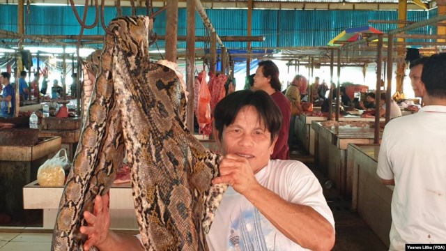 Meski Permintaan Anjlok, Pasar Tomohon Masih Jual Daging Ular dan ...