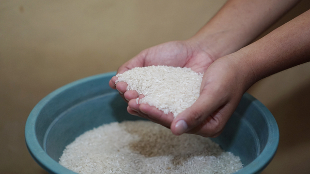 hadits zakat fitrah beras